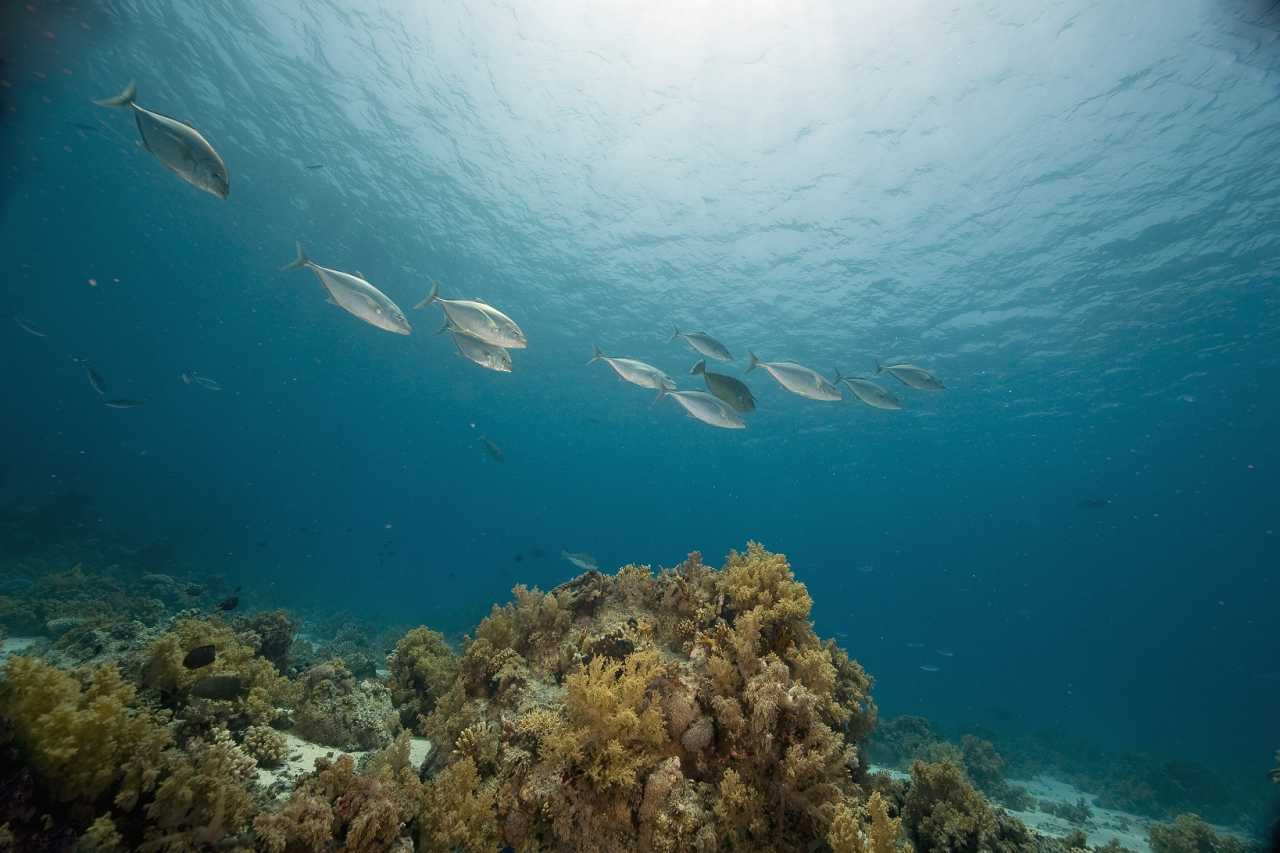 Business Is All About Overcoming Obstacles: 7 Challenges of Sustainable ...